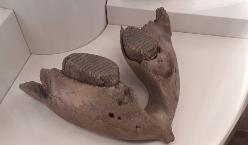 Berlin: Neukölln Walking Tour - Who Will Love This Tour?