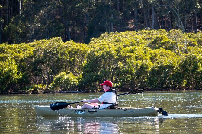 Bermagui River Kayak Tour - The Itinerary: What to Expect on Your Bermagui River Adventure