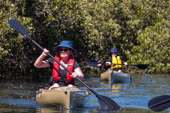 Bermagui River Kayak Tour - Frequently Asked Questions