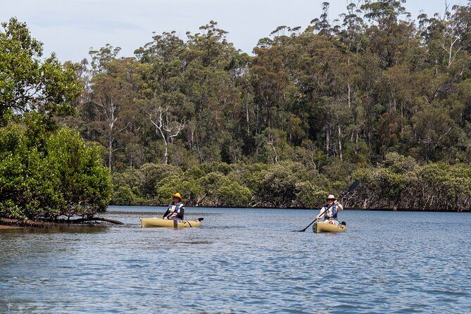 Bermagui River Kayak Tour - The Sum Up