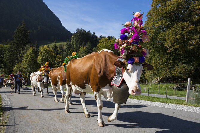 Berne the Capital and Cheese paradise Emmental (Private Tour) - Who Will Love This Tour?