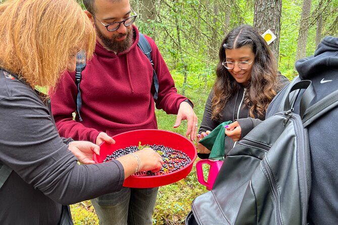 Berry Picking in a National Park - Who Is This Tour Best For?