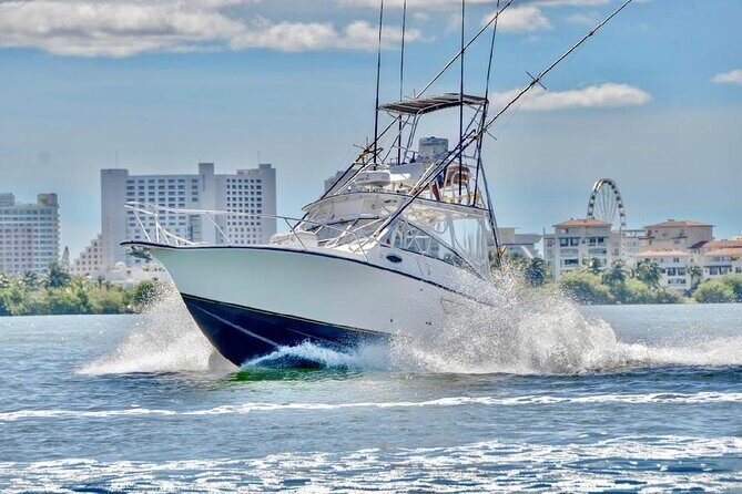 Bertram 35ft boat sport fishing cancun up to 6 passengers - Why Choose This Cancun Sport Fishing Tour?