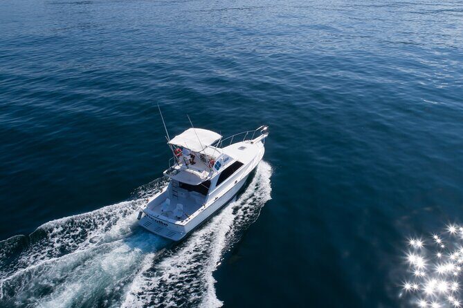 Bertram 38' Convertible Boat in Puerto & Nuevo Vallarta - Authentic Experiences from Reviewers