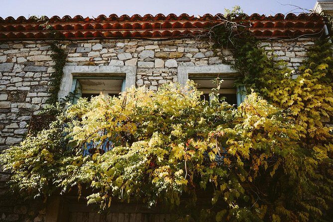 Bertrand Bosc wine and food tour in Pic St Loup - FAQs about the Bertrand Bosc Wine and Food Tour