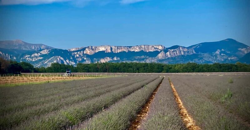 Bespoke Luxury Sightseeing Experiences - Exploring the South of France with Bespoke Luxury Sightseeing Experiences