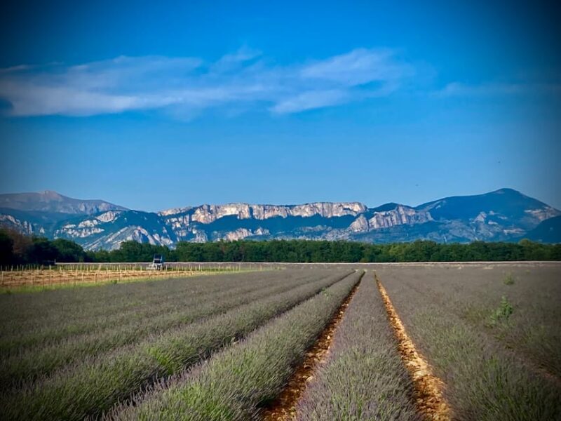 Bespoke Luxury Sightseeing Experiences - FAQs