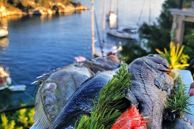 Bespoke private boat tour from Split & Trogir with a local expert - Addressing Common Concerns