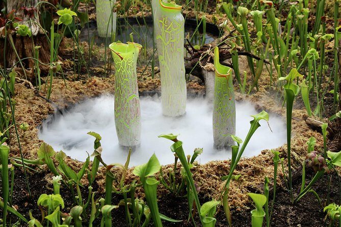 Bespoke Private Tour of Sydney - Who Should Consider This Tour?