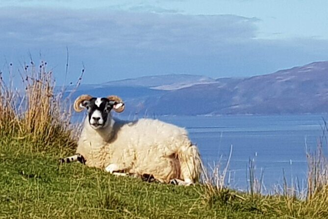 Bespoke Private Tours of Scotland and the Borders - Who Is This Tour Best For?