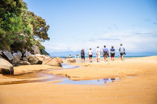 Best Abel Tasman Day trip - Analyzing the Value: Is This Tour Worth It?