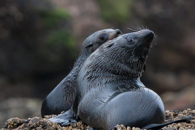 Best Abel Tasman Day trip - Final Thoughts