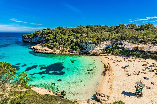 "Best Beaches Mallorca Experience with Guide, SUP, and Snorkel" - Key Points