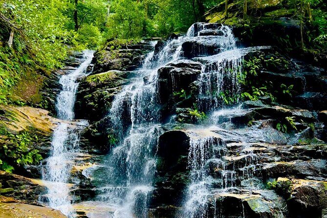 Best Blue Mountains Full Day Tour-Optional Sydney Zoo&Leura Town - An In-Depth Look at What You Can Expect