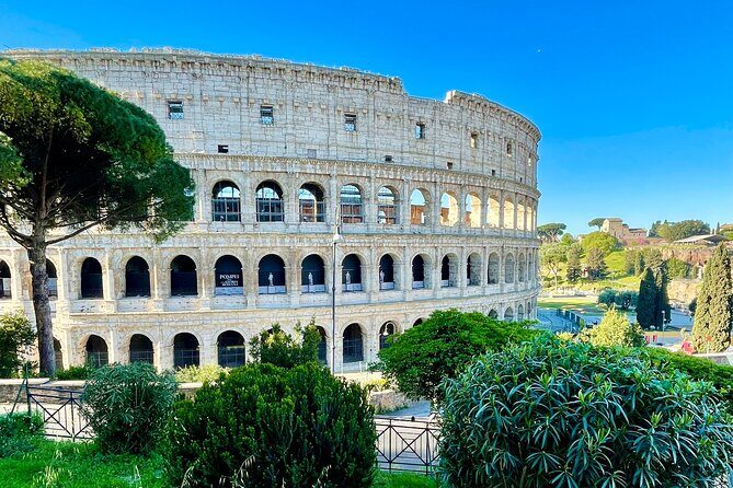 Best Colosseum, Palatine Hill and Roman Forum Guided Tour - Key Points