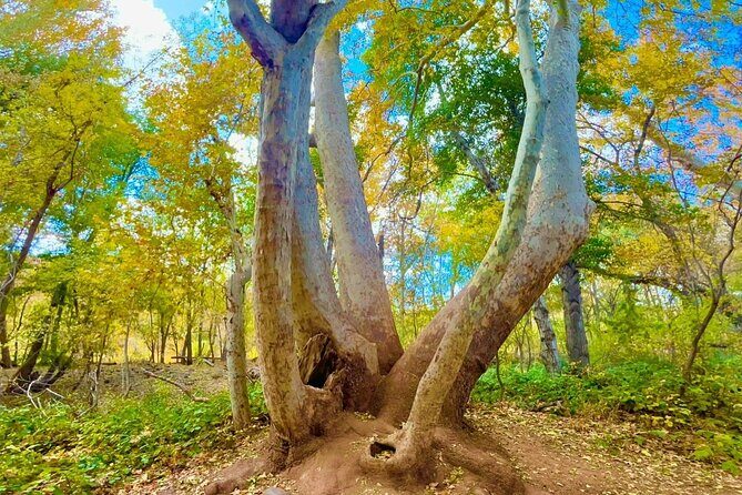 Best E-Bike Tour of Sedona with Private Local Guide - Logistics and Practical Considerations