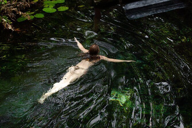 Best in Class: Private Snorkeling Xpedition - Practical Details: What to Expect