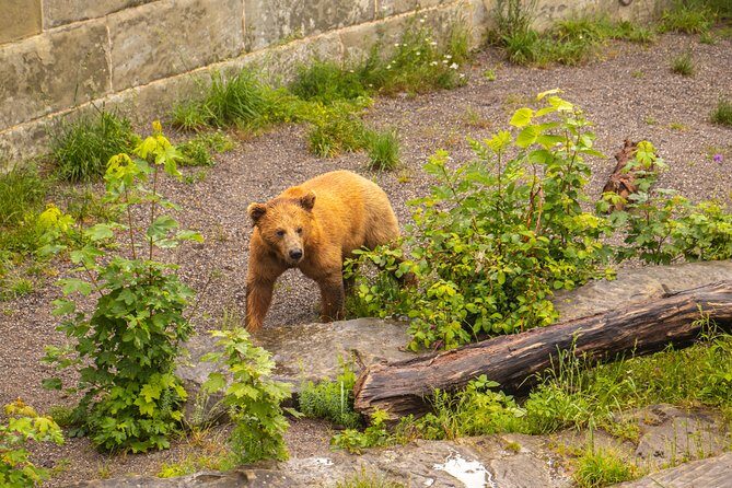 Best Intro to Bern in 2 hours with a Local - Who Should Book This Tour?