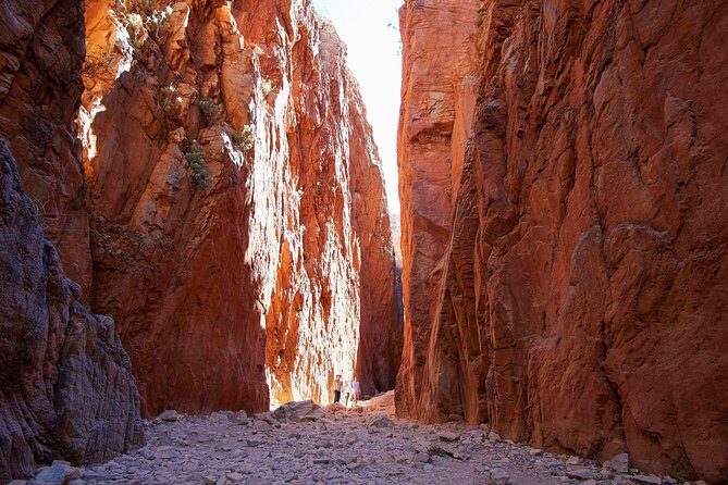 Best of Alice Springs Full Day Tour - Exploring Alice Springs: An In-Depth Look at the Tour  