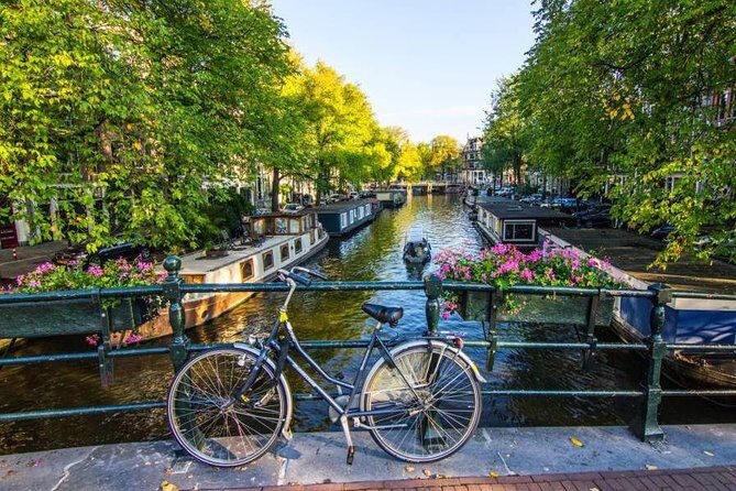 Best of Amsterdam: small-group walking tour (TOP RATED) - Key Points