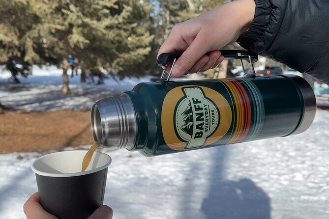 Best of Banff in Winter & Wildlife & Crazy Carpet Sled - Who Should Consider This Tour?