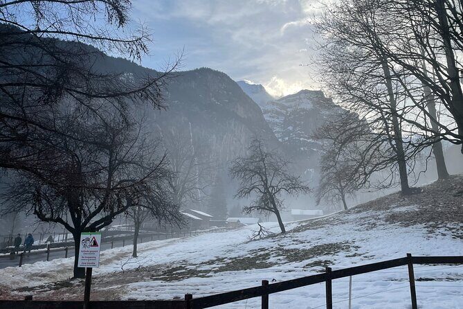 Best of Bernese Oberland & Swiss Countryside Tour (Private Tour) - Why This Tour Works for You