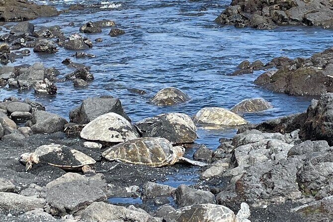 Best of Big Island: Volcanoes, Waterfall, Blacksand Beach & Lunch - Who Is This Tour Best Suited For?