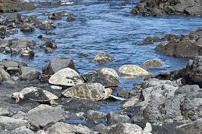 Best of Big Island: Volcanoes, Waterfall, Blacksand Beach & Lunch - The Sum Up