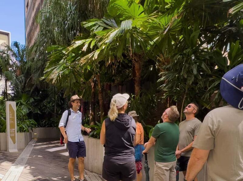 Best of Brisbane Walking Tour | Small Group & snack - Key Points