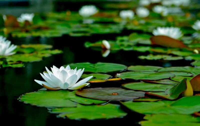 Best of Fiji Tours: 3 Days Package - Authentic Insights from Reviewers