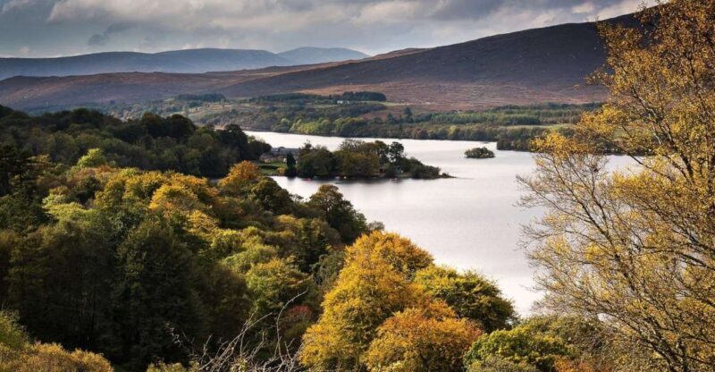 Best of Ireland 6-Day Backpackers Economy Tour - What to Expect: Practical Tips and Insights