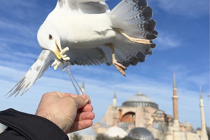 Best of Istanbul City Full-Day Tour with Transfers - The Blue Mosque: Architectural Wonder and Cultural Icon