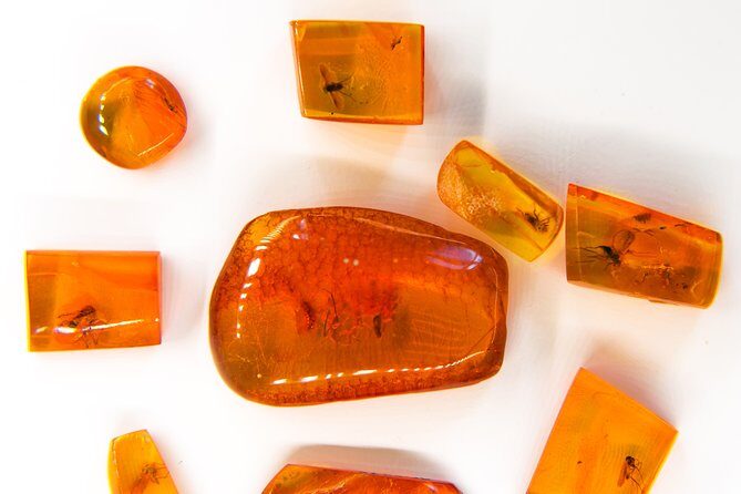 Best of Klaipeda & Curonian Spit Join-in Shore Excursion - Authentic Traveler Insights