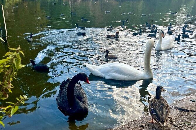 Best of London Tour: Tower of London and Churchill War Rooms - Final Thoughts