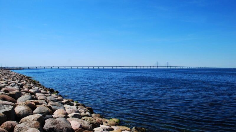 Best of Malmö: Private Walking Tour with a Local - Key Points