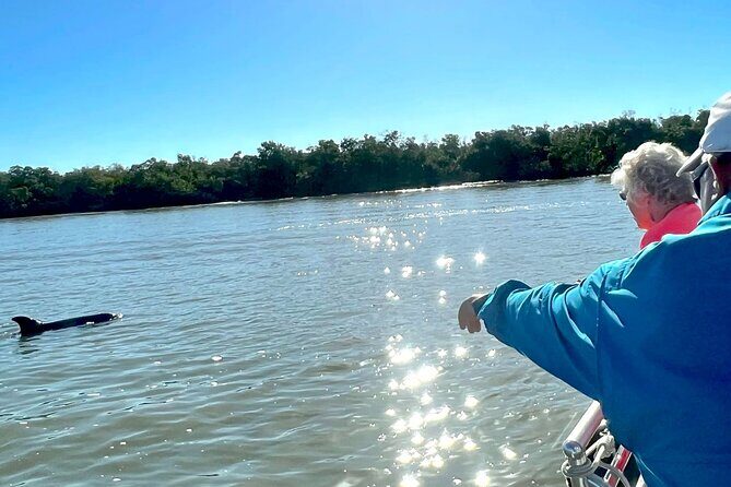 Best of Marco Island Dolphin Tour - What to Expect from the Itinerary