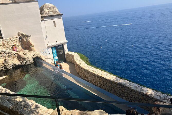 Best of Monaco Private Tour and Outlet Shopping Experience - An Overview of What to Expect