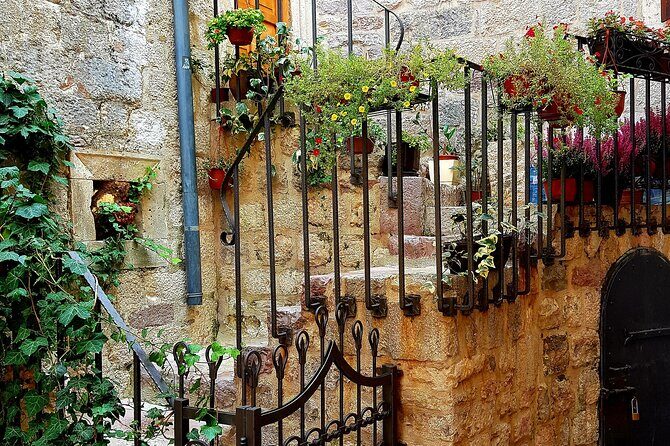 Best of Montenegro and Kotor private tour - Transportation and Group Size