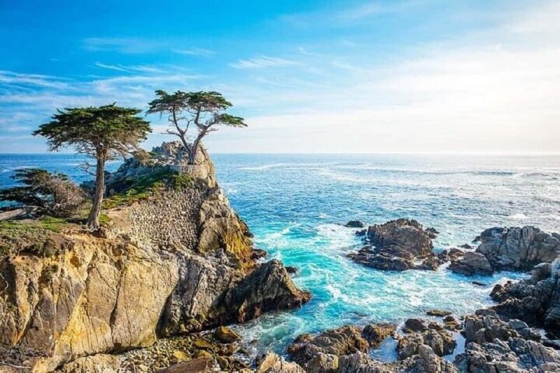 Best of Monterey Peninsula & Carmel-the-Sea Small Group Tour - Transportation and Group Size