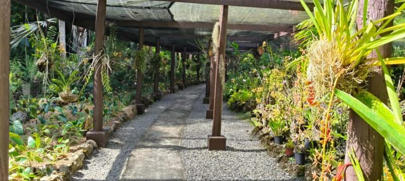 Best of Nadi Highlights - Who Will Love This Tour?