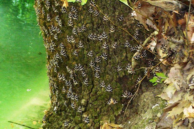 BEST OF RHODES ISLAND - PRIVATE TOUR - SHORE EXCURSION - FULL DAY - 4 People - Who Is This Tour For?