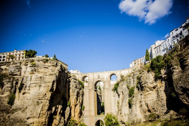 Best of Ronda: Guided Tour from Málaga - Who Is This Tour Best Suited For?
