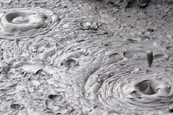 Best of Tauranga & Rotorua's Hidden Secrets - Shore Excursion - FAQs