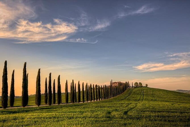Best of Tuscany: Full Day Private Tour to Val D'Orcia - Who Should Consider This Tour?