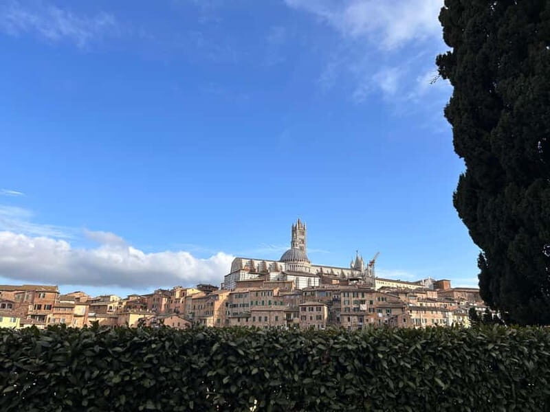 Best of Tuscany: San Gimignano, Siena, Pisa Small Group - The Itinerary Breakdown: What to Expect