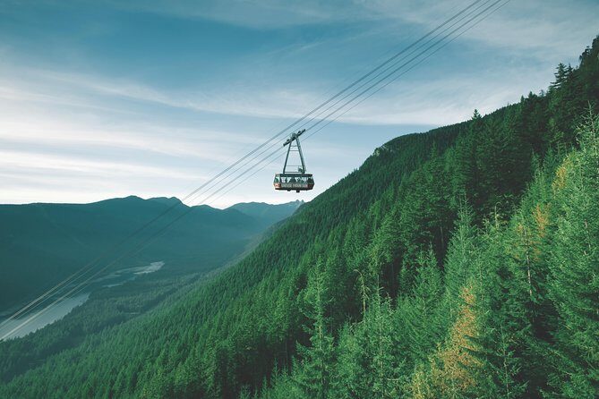 Best Of Vancouver Small-Group Tour w/Capilano + Grouse Mtn Lunch - Exploring Stanley Park