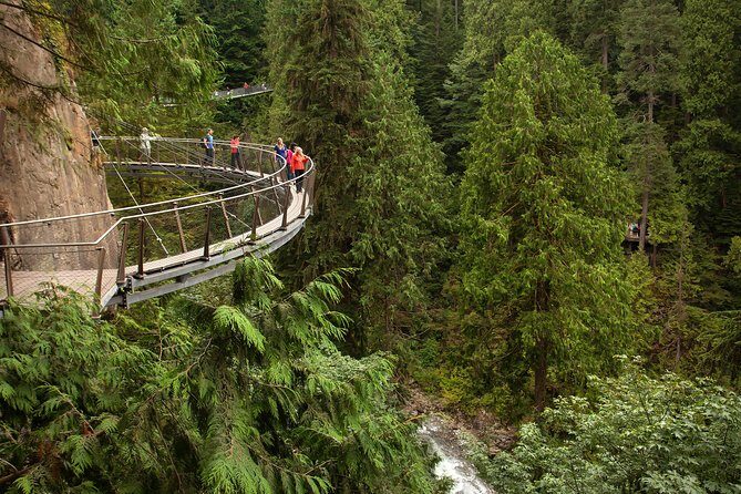 Best Of Vancouver Small-Group Tour w/Capilano + Grouse Mtn Lunch - Ascending Grouse Mountain via Skyride