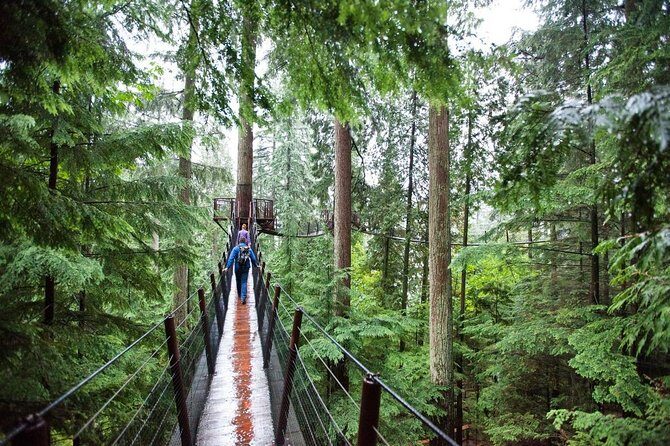 Best Of Vancouver Small-Group Tour w/Capilano + Grouse Mtn Lunch - A Personal Touch