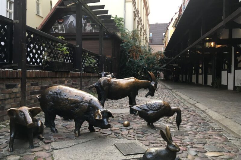 Best of Wroclaw 3-Hour History and Culture Walking Tour - Key Points