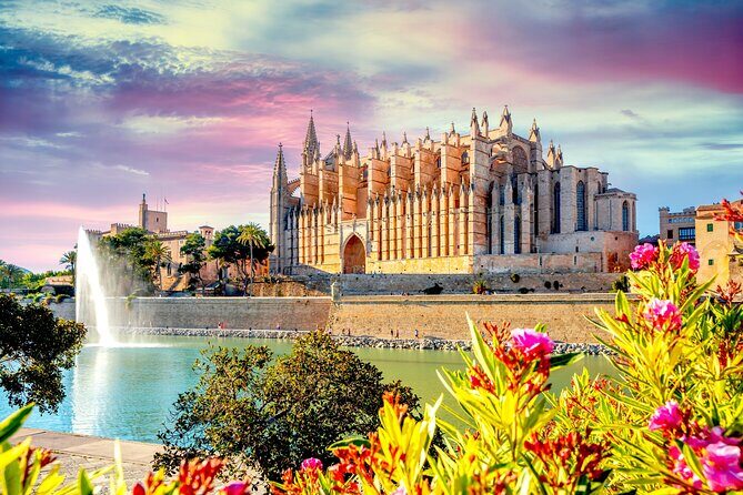 Best Palma de Mallorca and ValLdemossa Tour from Cruise Port - Key Points